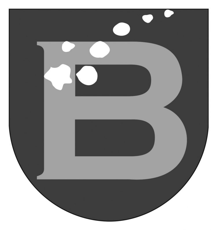 Logo Universitas Bakrie Original PNG - rekreartive