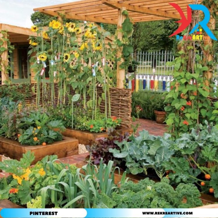 9 Jenis Tanaman Toga untuk Apotik Hidup Di Rumah - rekreartive