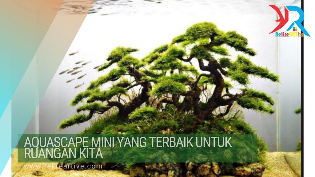 Aquascape Mini Simple Murah dan Mudah Dibuat Pemula - rekreartive