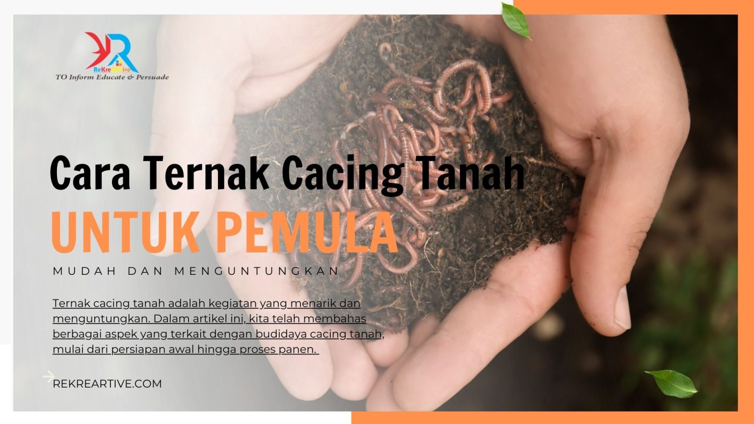 Panduang Cara Ternak Cacing Tanah Lengkap Hingga Panen Modal Kecil ...