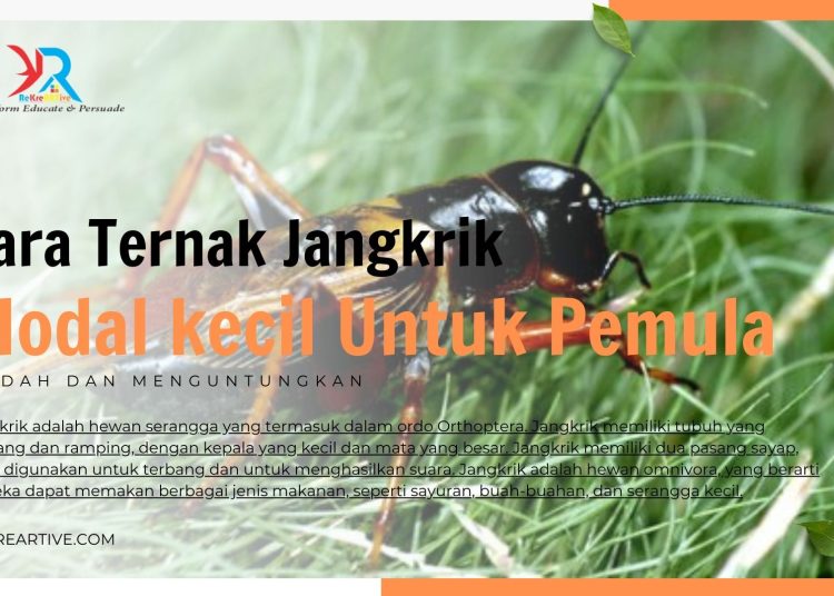 Cara Ternak Belut Mudah dan Menguntungkan [Panduan Lengkap] - rekreartive