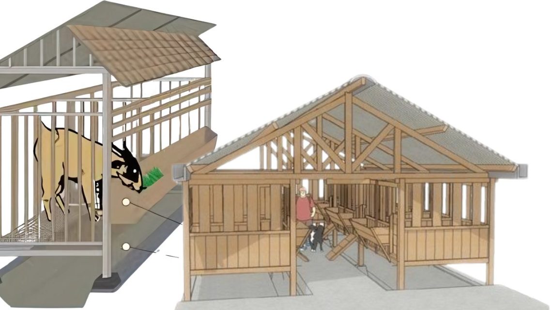 Jenis Model Kandang Ternak Kambing Yang Ideal Rekreartive